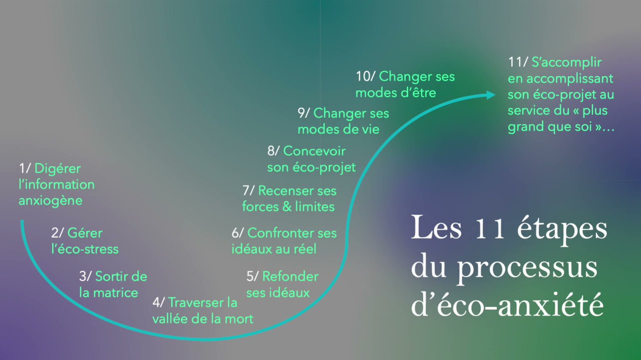 Définition de l'éco anxiété par Pierre-Eric SUTTER, psychologue-psychothérapeute - YouTube