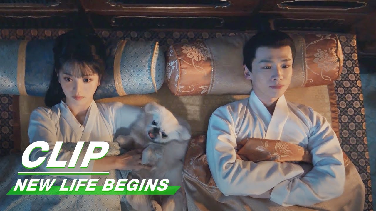 Yin Zheng And Li Wei Sleep On Same Bed For The First Time New Life Begins Ep06 卿卿日常 Iqiyi