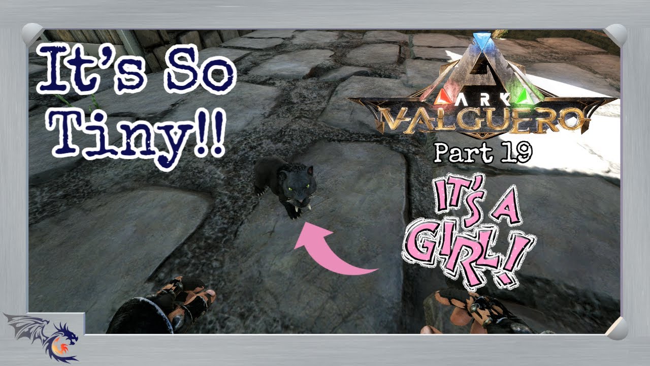 Sabertooth Breeding | ARK: Valguero #19 - YouTube