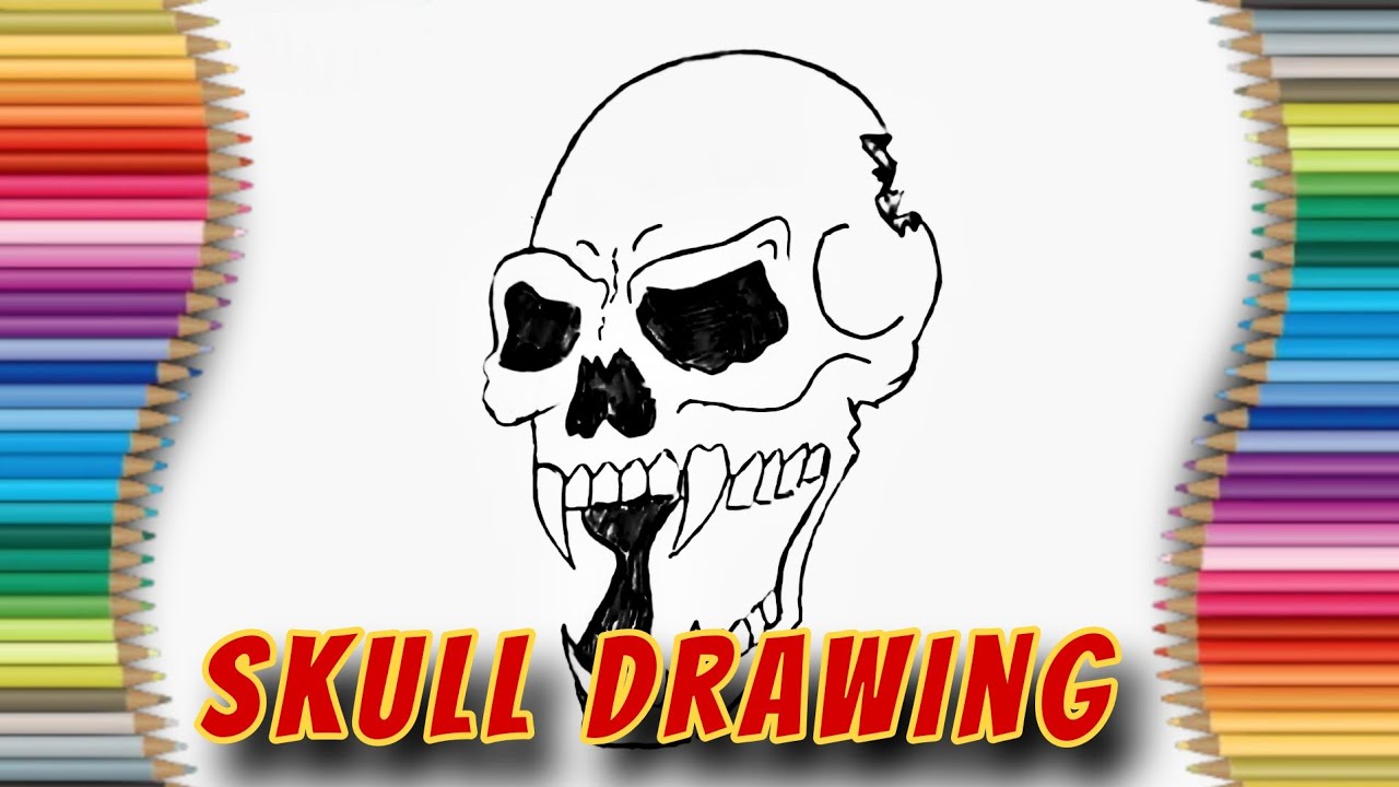 How to draw skull pencil drawing | pencil drawing skull for beginner ...