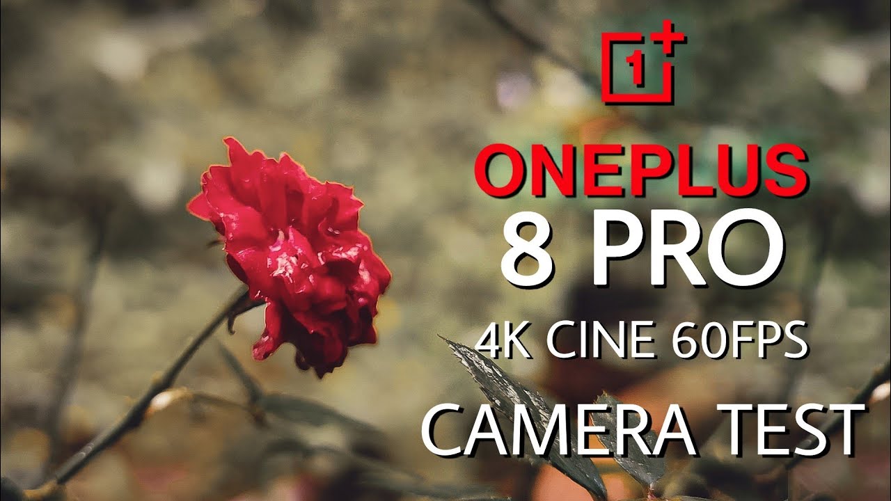 OnePlus 8 Pro Camera test | 4K CINE 60FPS | 4K Cinematic Footage - YouTube