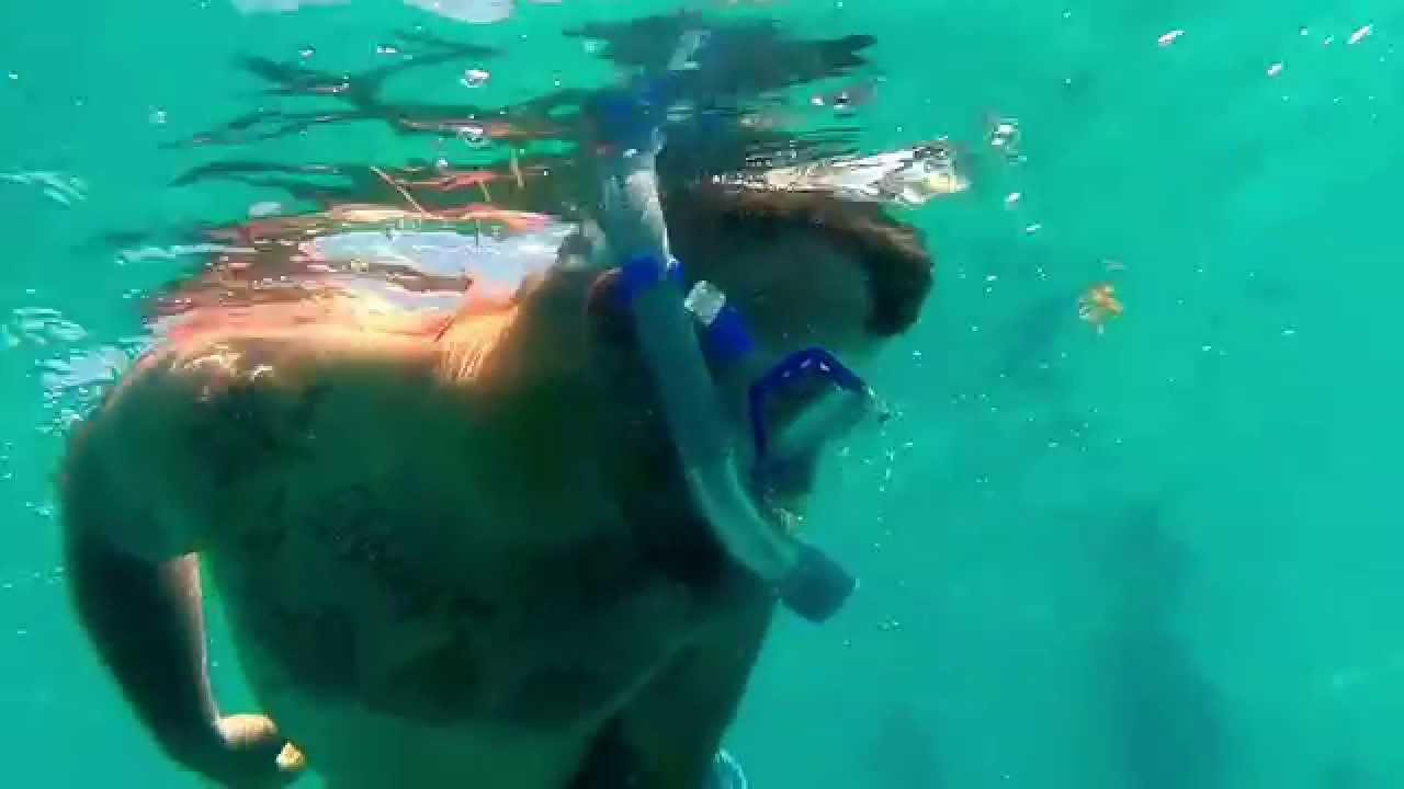 Snorkeling at Hens and Chickens Reef. - YouTube