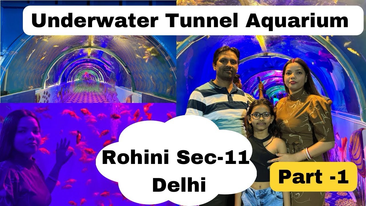 Hidden Gem: Rohini Sector-11 Underwater Aquarium Tour|rohini - YouTube