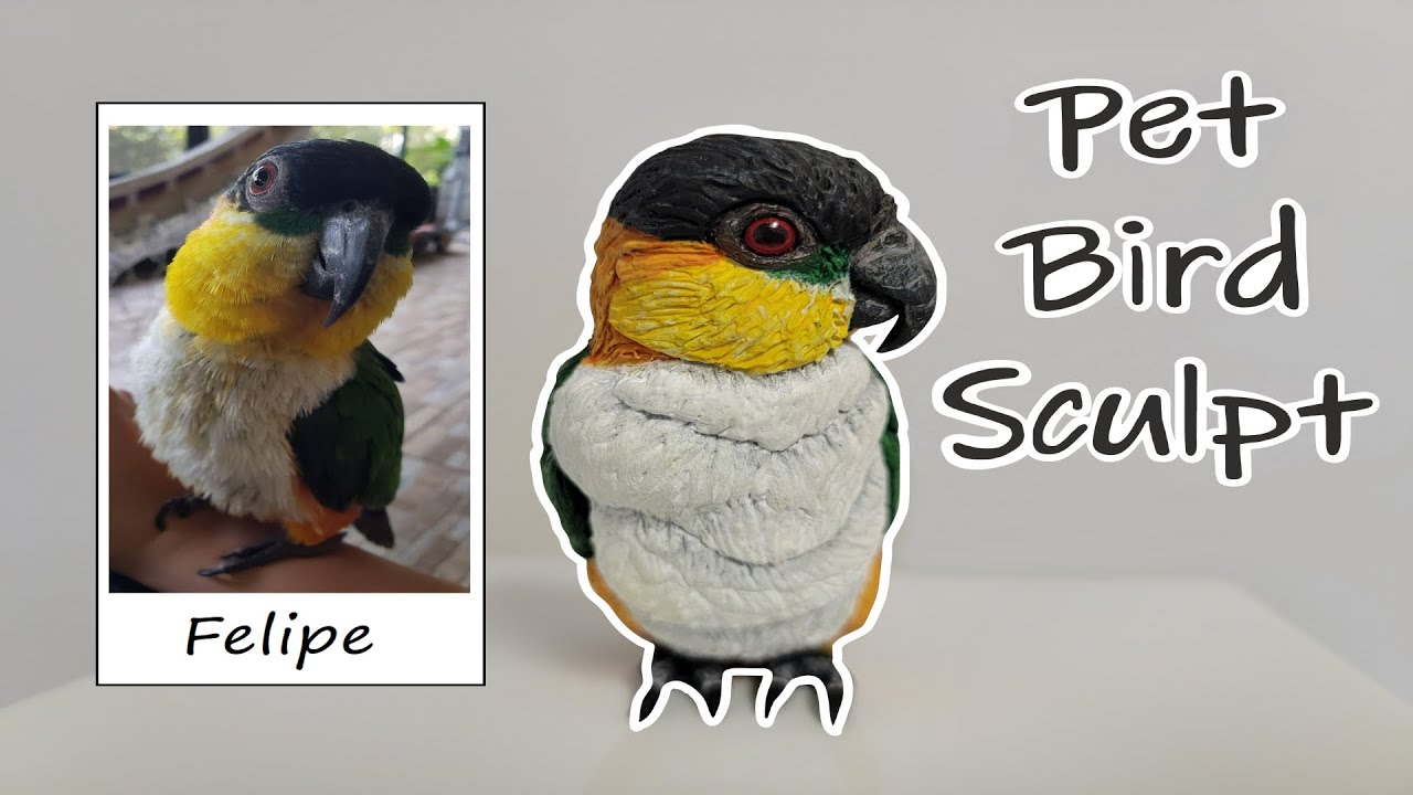 Sculpting a Custom Polymer Clay Pet Bird: Felipe the Caique - YouTube