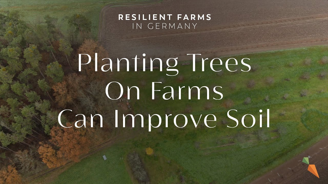Planting Trees On Farms Can Improve Soil | Resilient Farms in Germany ...