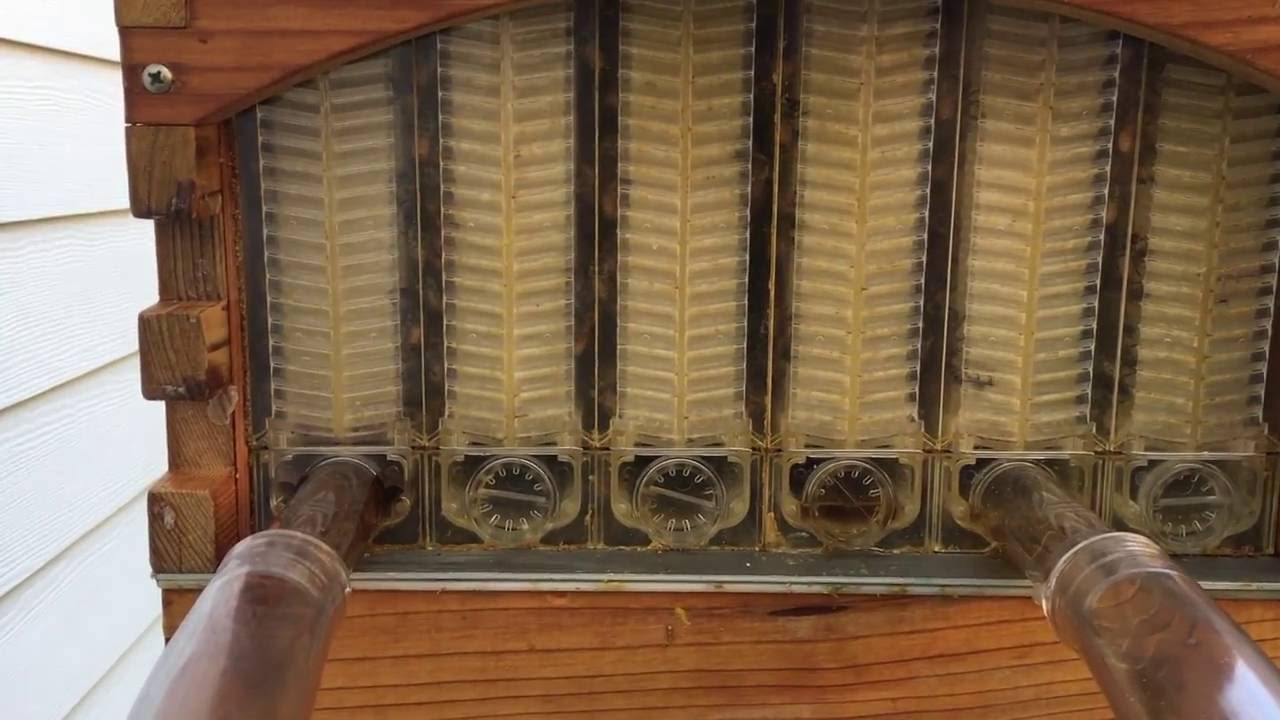 FlowFrame Harvest - YouTube