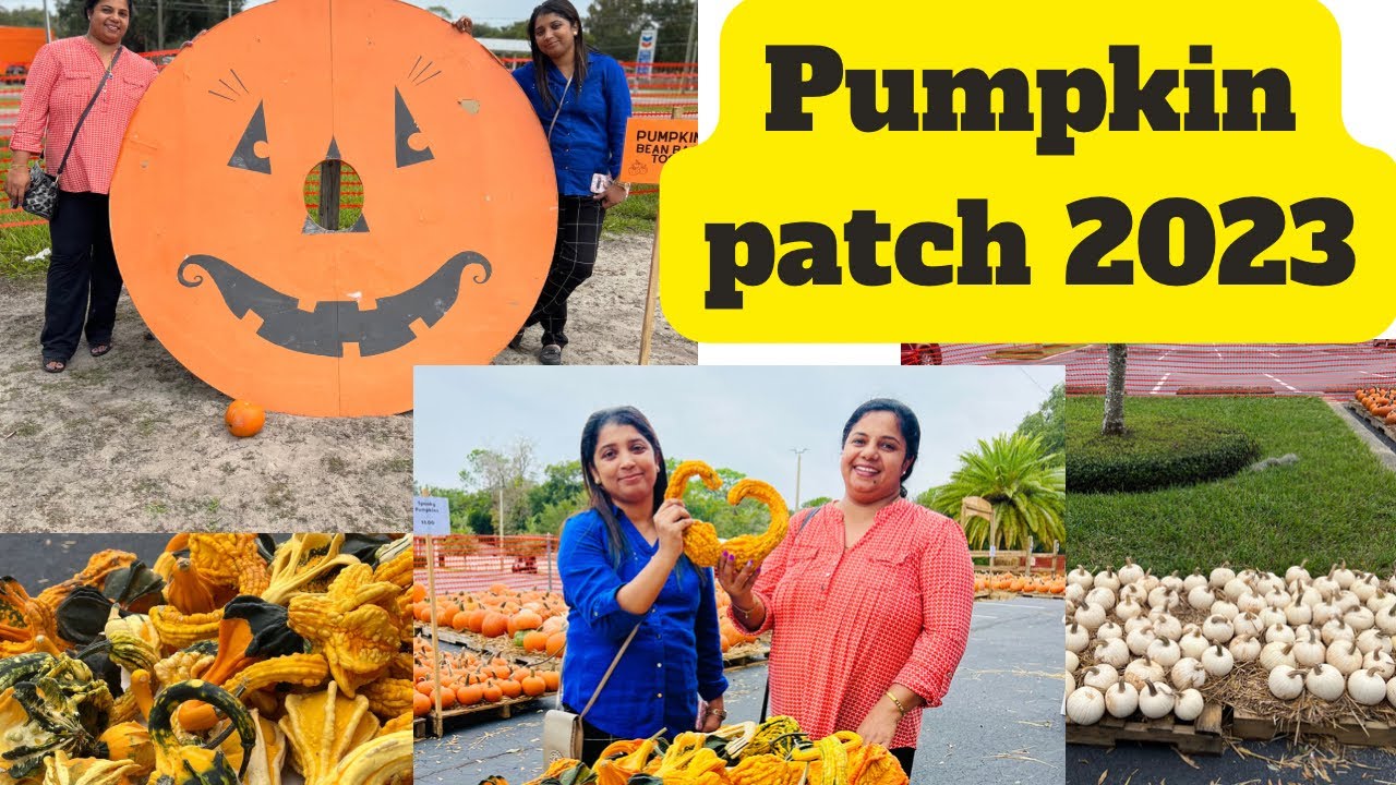 Pumpkin patch 2023 #usavlogs #halloween2023 - YouTube