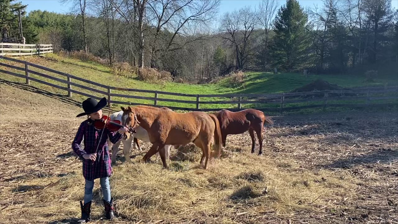 Laura Vignale - The Cowboy - YouTube