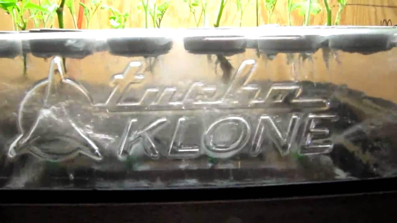 Turbo Klone 48 Site Aeroponic Cloner in Action! - Hydroponics in San ...