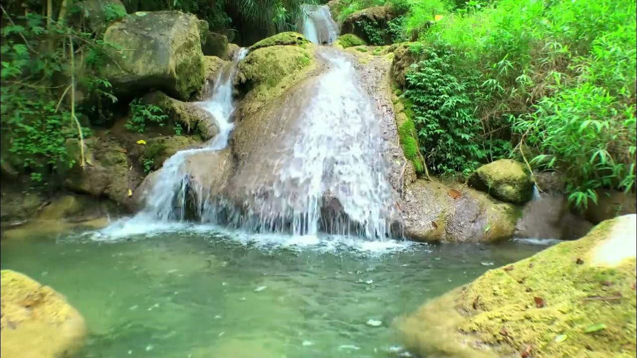Relaxing River Sound Forest waterfalls are relaxing, relieve stress, help meditation, and Yoga ...