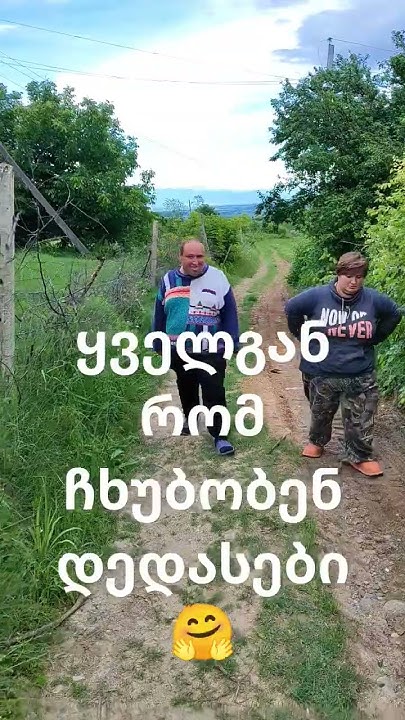 პ ნ 13001041475 გიო და ნინო მკვეთრად გამოხატული გონება შეზღუდვით 1 ჯგ