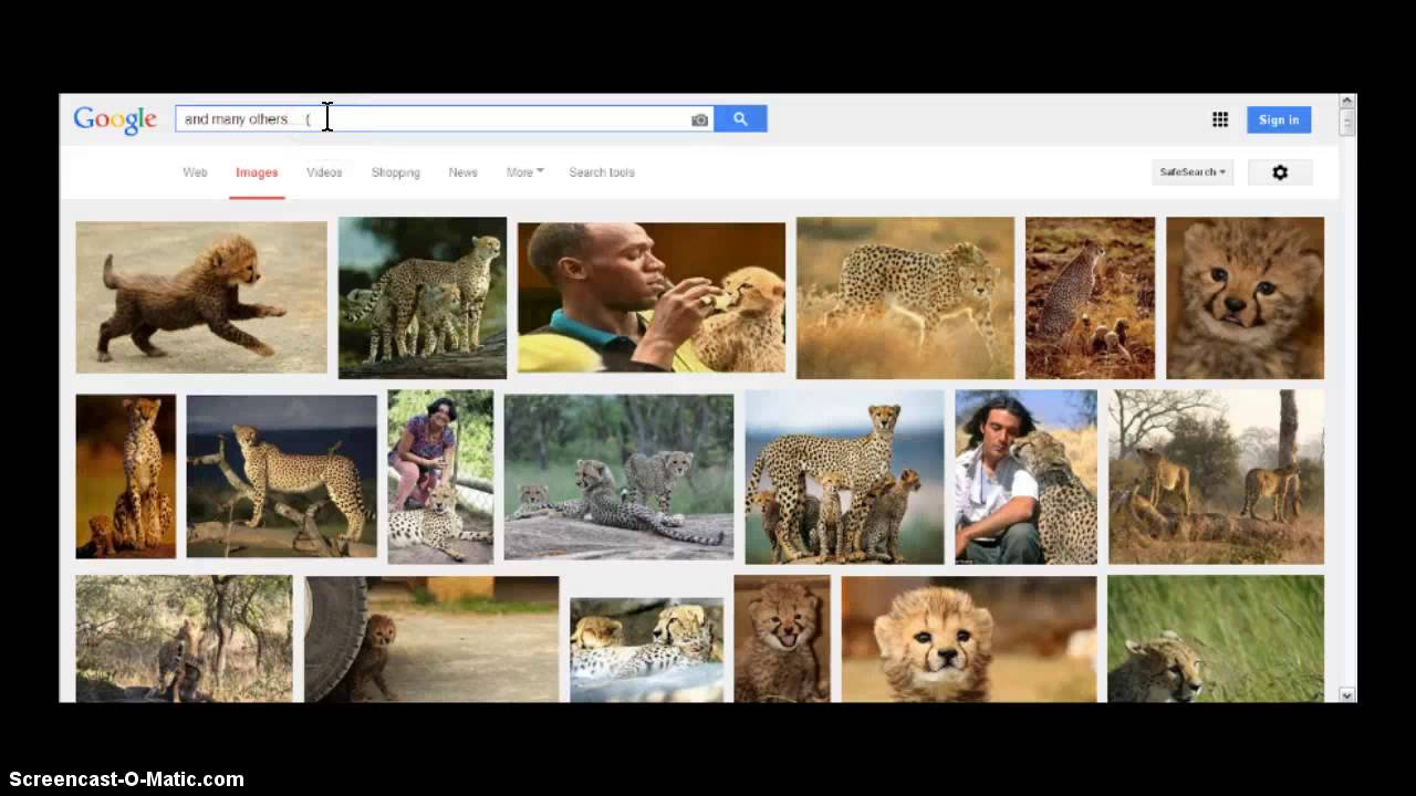 Animaljam - Help SAVE big cats! - YouTube