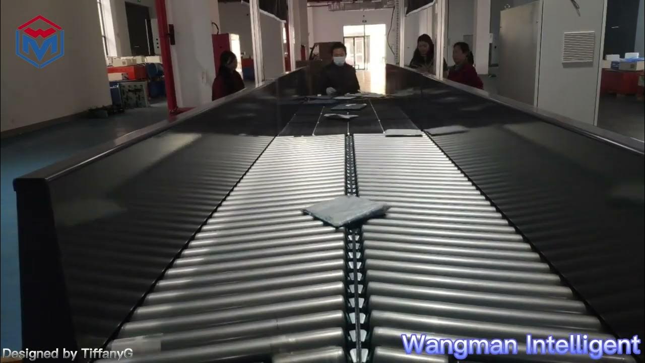 Singulator/Singulation Conveyor Working Performance - YouTube