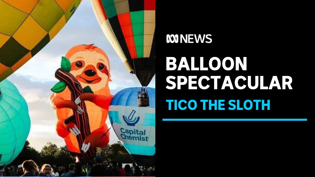 Tico the Sloth and a fleet of hot air balloons take to Canberra's skies ...