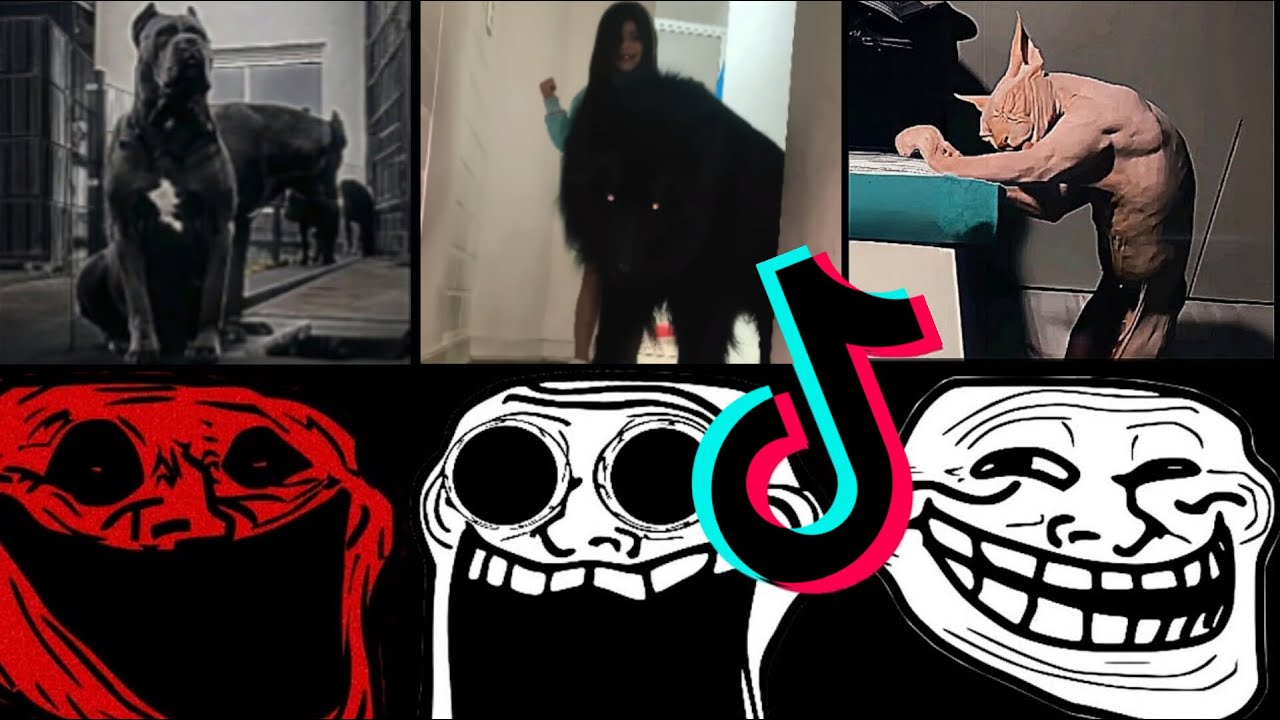 INSANE TROLLFACE COMPILATION 🥶 –MUST WATCH💀 - YouTube