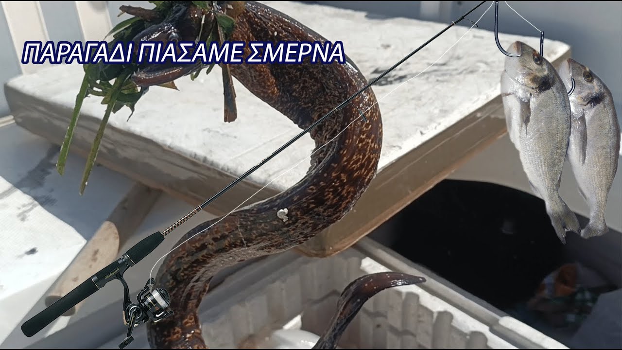 παραγαδι στην χαλκιδική πευκοχώρι - YouTube