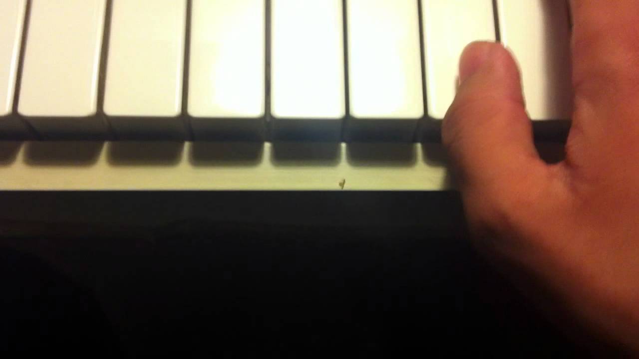 The Track Team Chi-Blocker Scale - 1, 2, b3, #4, #5, 6, 7 - YouTube