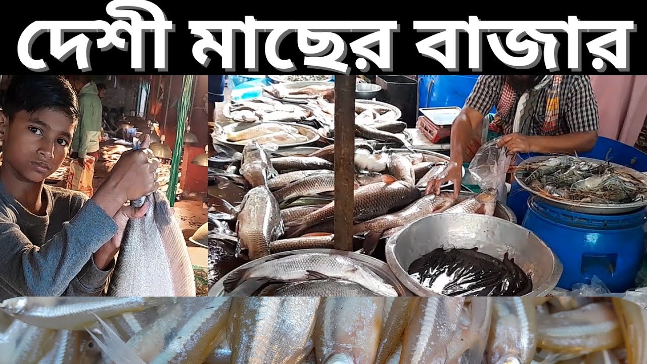 দেশী মাছের বাজার,জোয়ার সাহারা বাজার | Surprising Fish Market in Dhaka ...