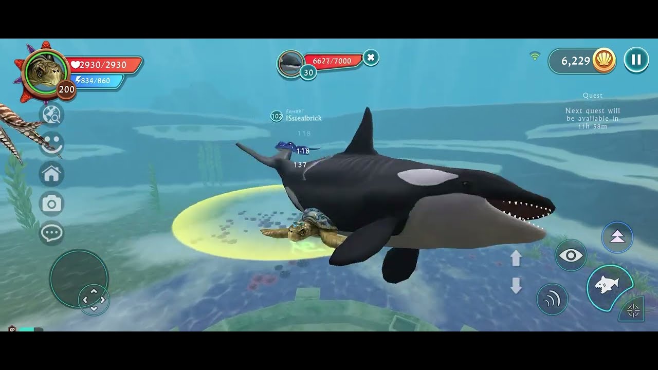 Wildcraft Ocean World #wildcraft - YouTube