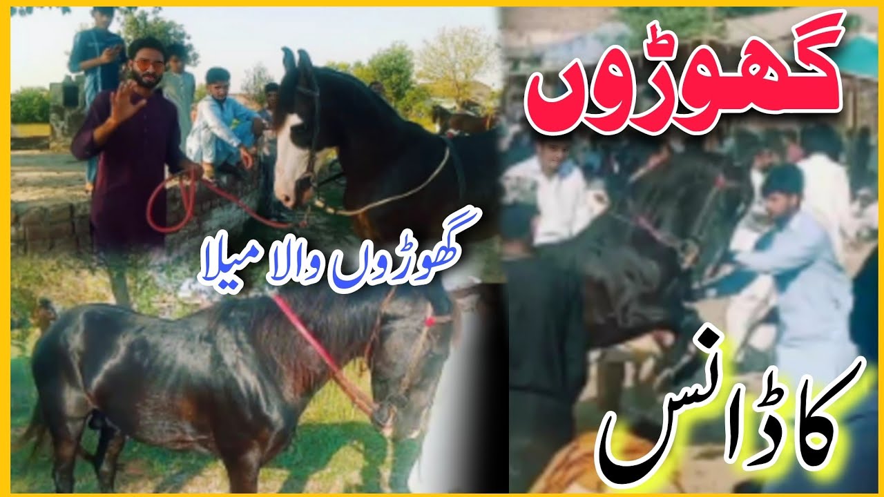 Horse dance at the fair || GhorooN wala mela || More khunda - YouTube
