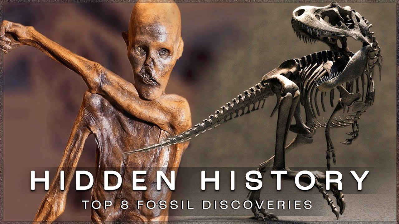 Top 8 Amazing Fossil Discoveries That Rewrote Earth's History - YouTube