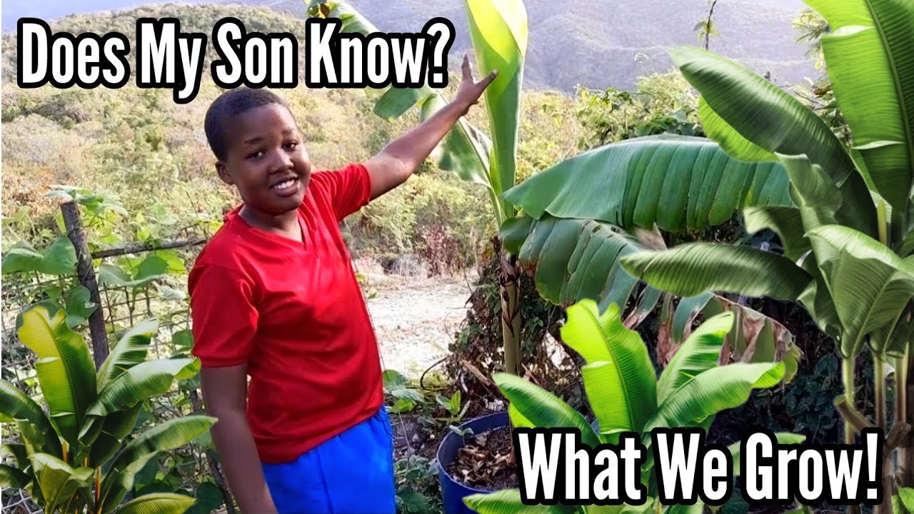 Does My Son Know What We Grow? We Grow a MASSIVE ABUNDANCE of FOOD in ...