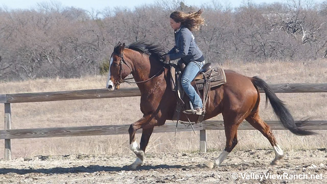 Solid But Mighty - riding in outdoor arena #2 - Valley View Ranch - YouTube