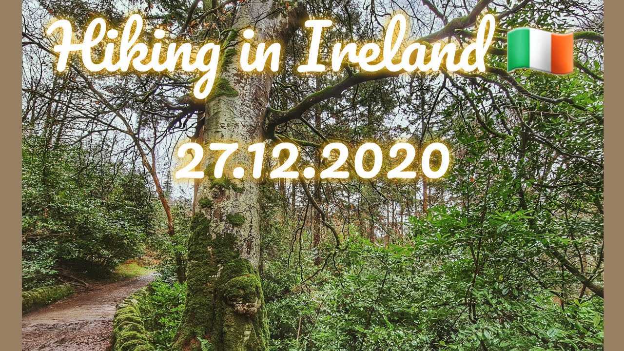 "Ravensdale Forest Recreation Area" - YouTube