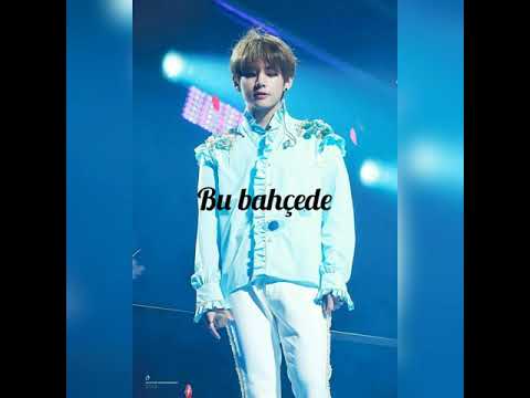 BTS Vocal line\