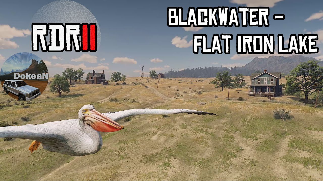 The Flying of Pelicans over Blackwater & Flat Iron Lake - Red Dead ...