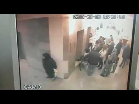 Şişli Etfal'de Ortalık Yere Sıçan Teyze