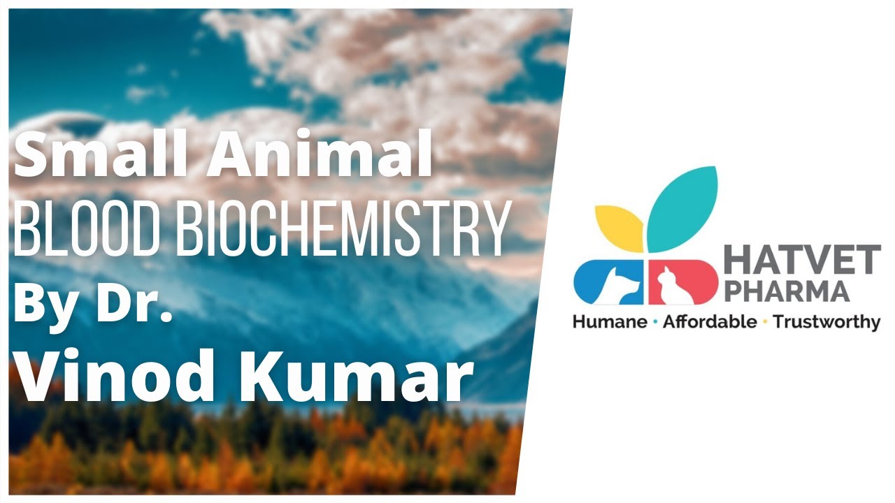 Small Animal Blood Biochemistry By Dr. Vinod Kumar - YouTube