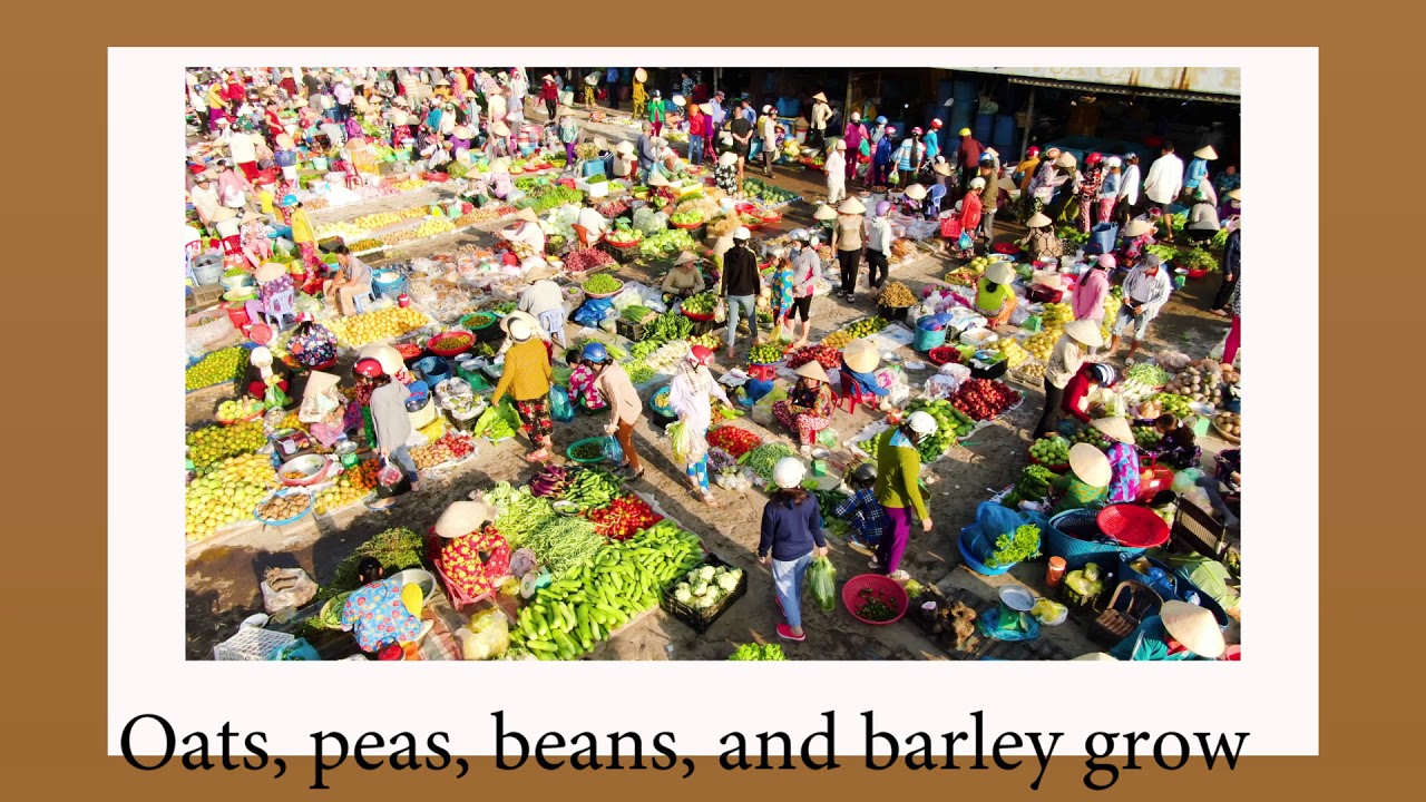 English, Standard 4,Unit 1,Oats,Peas and Barley grow,English Poem, (For ...