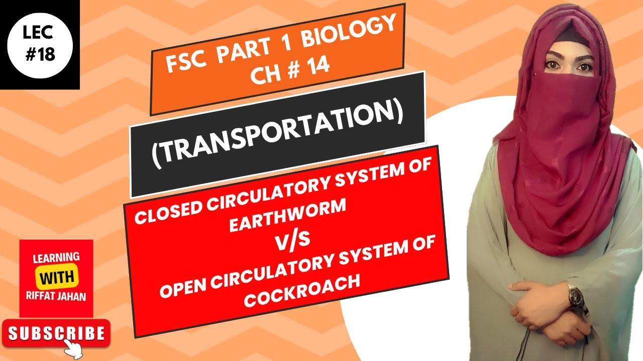 Ch#14 | Lec #18 | Closed Circulatory system Of Earthworm And Open ...