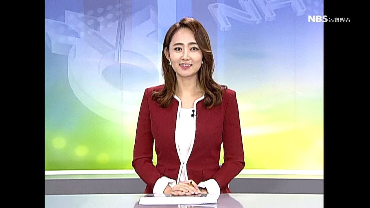 NBS뉴스 (20161107) - YouTube