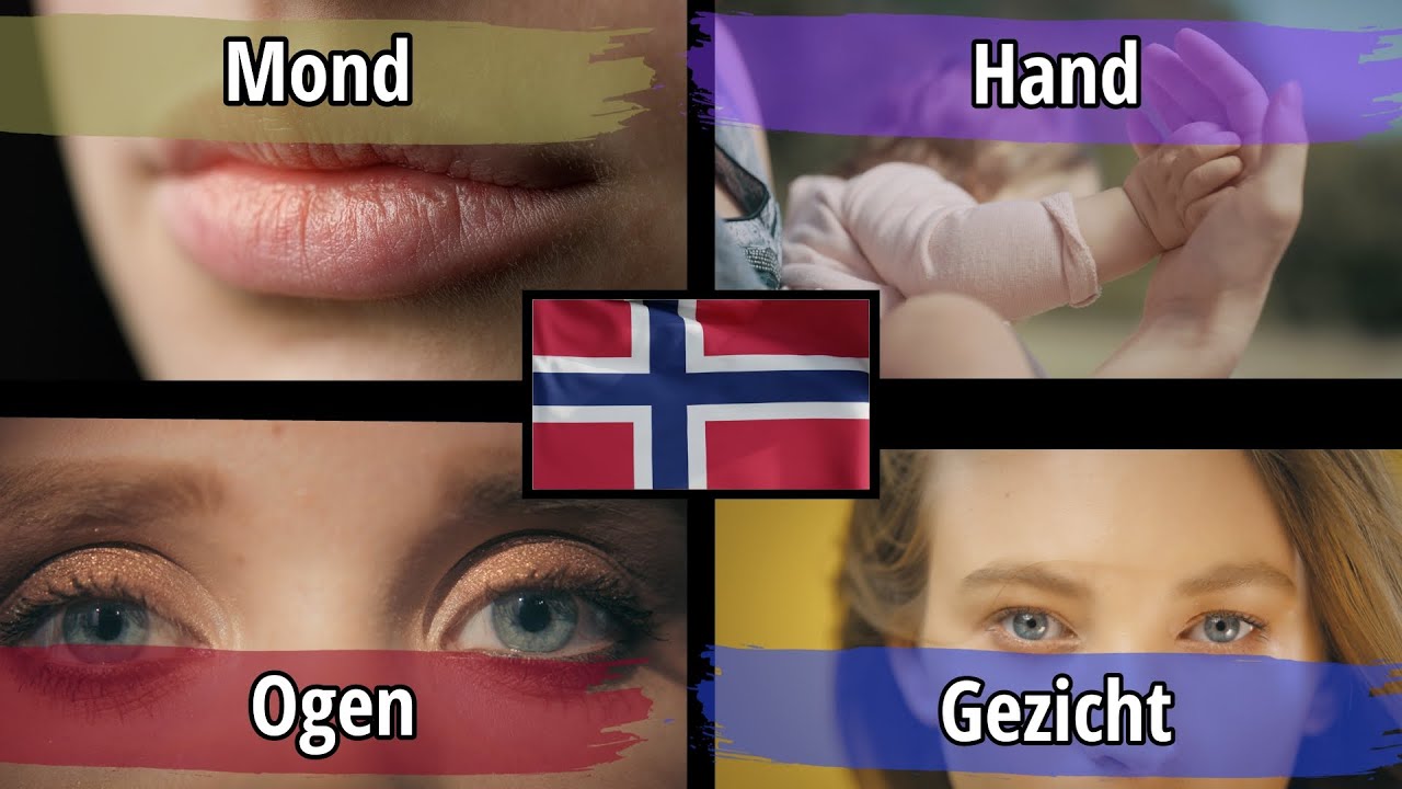 Learn Norwegian Vocabulary for Beginners | Body Parts | Comprehensible ...