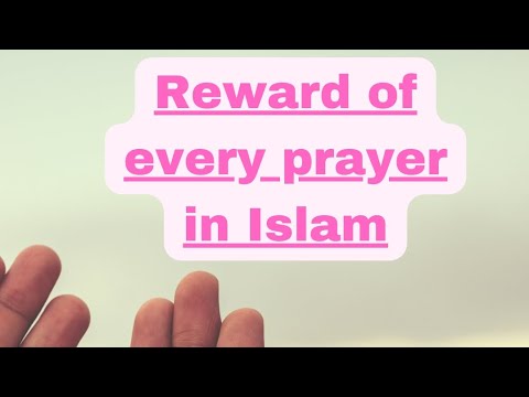 Reward of every prayer in Islam#prayer #namaz - YouTube