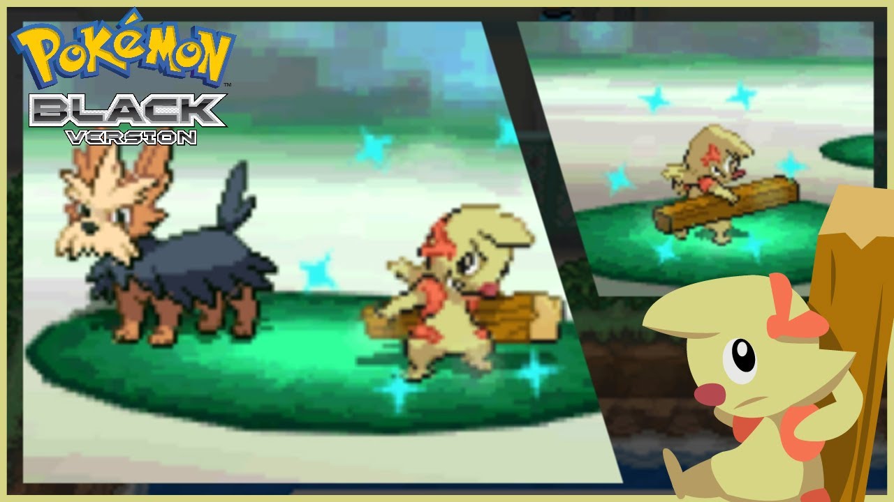 (LIVE) FULL ODDS Shiny Timburr #2 in Pokemon Black [Phase 9] - YouTube