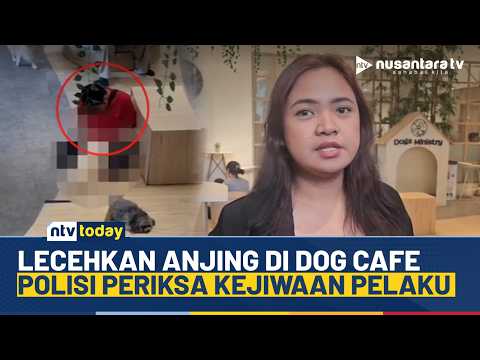 Viral! Pria Lecehkan Hewan Peliharaan di Penjaringan, Aksinya Terekam CCTV | NTV TODAY