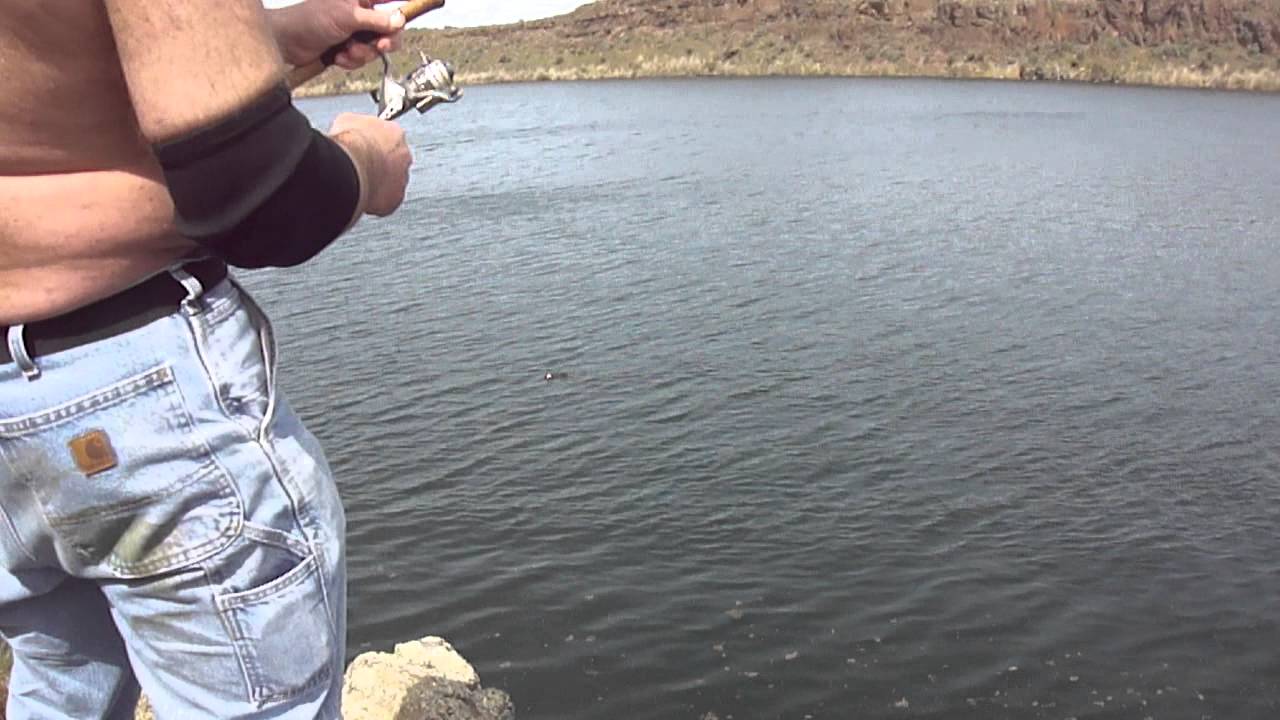 Trouser Trout - YouTube