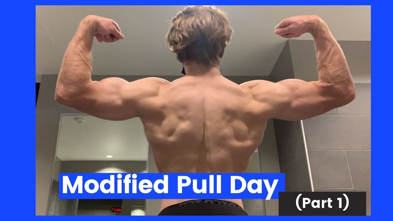 PULL Day Workout for Beginners (Part 1) | Fitness Domain - YouTube