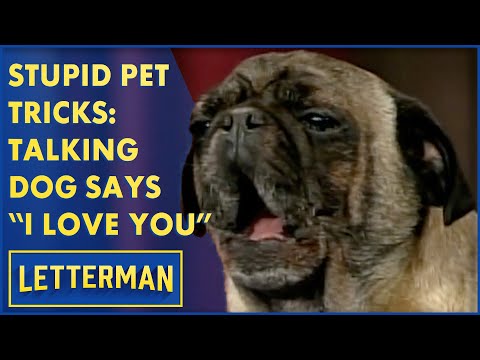 Stupid Pet Tricks: The Talking Dog Says \