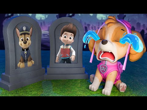 R.I.P RYDER! SKYE Don't cry! Very Sad Story But Happy Ending | Paw Patrol The Mighty Movie