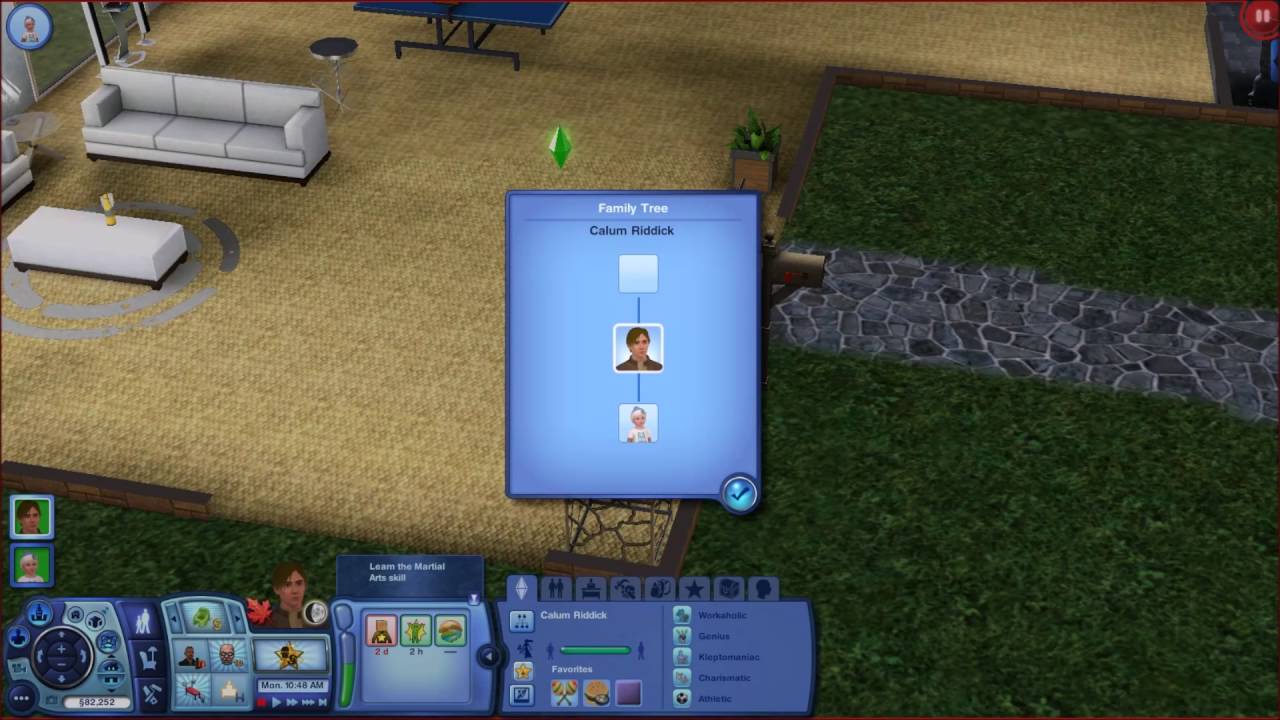 the Sims 3 - master theif life time wish -adoption - YouTube