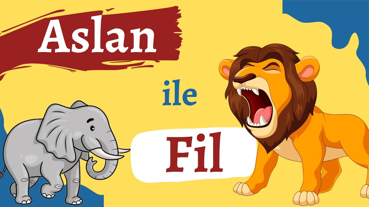 Turkish Stories for BEGINNERS: Learn Turkish 🇹🇷 with Short Stories 📚 ...