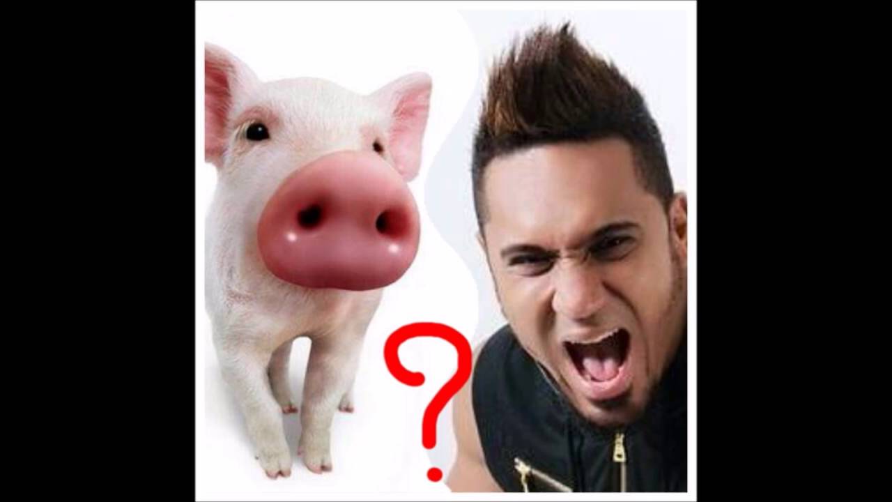 Donde esta El Puerco Silvio Mora - YouTube