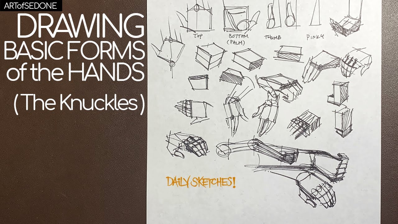 Drawing Basic Forms Of The Hands The Knuckles - YouTube