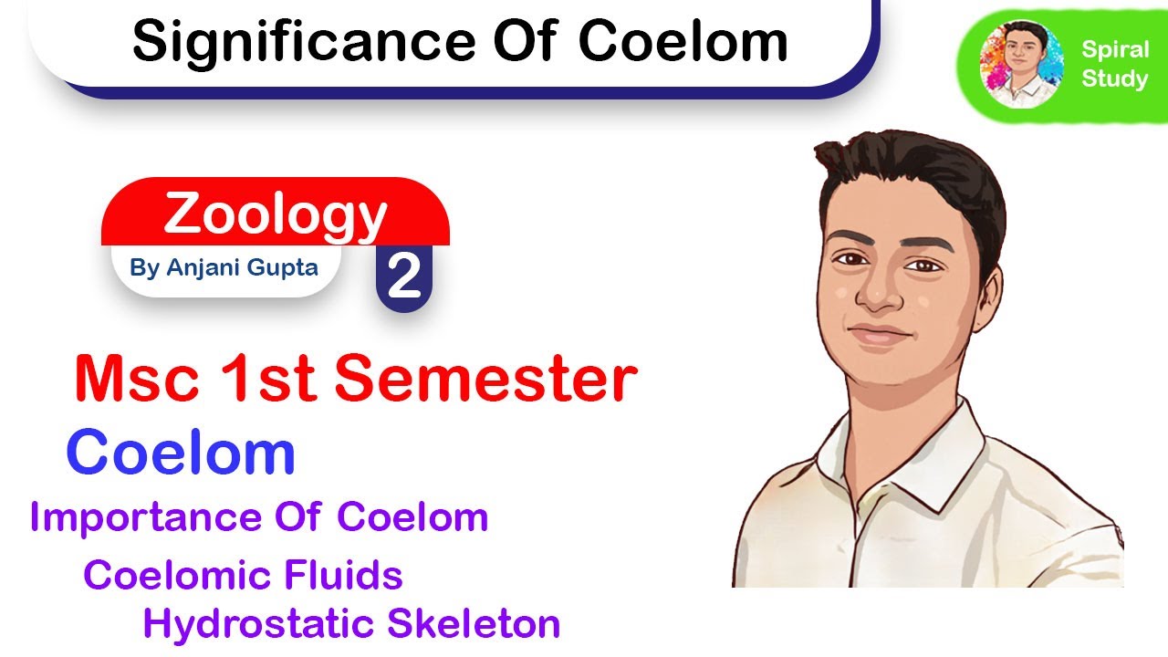 Coelom | Significance Of Coelom | Importance Of Coelom | coelom # ...