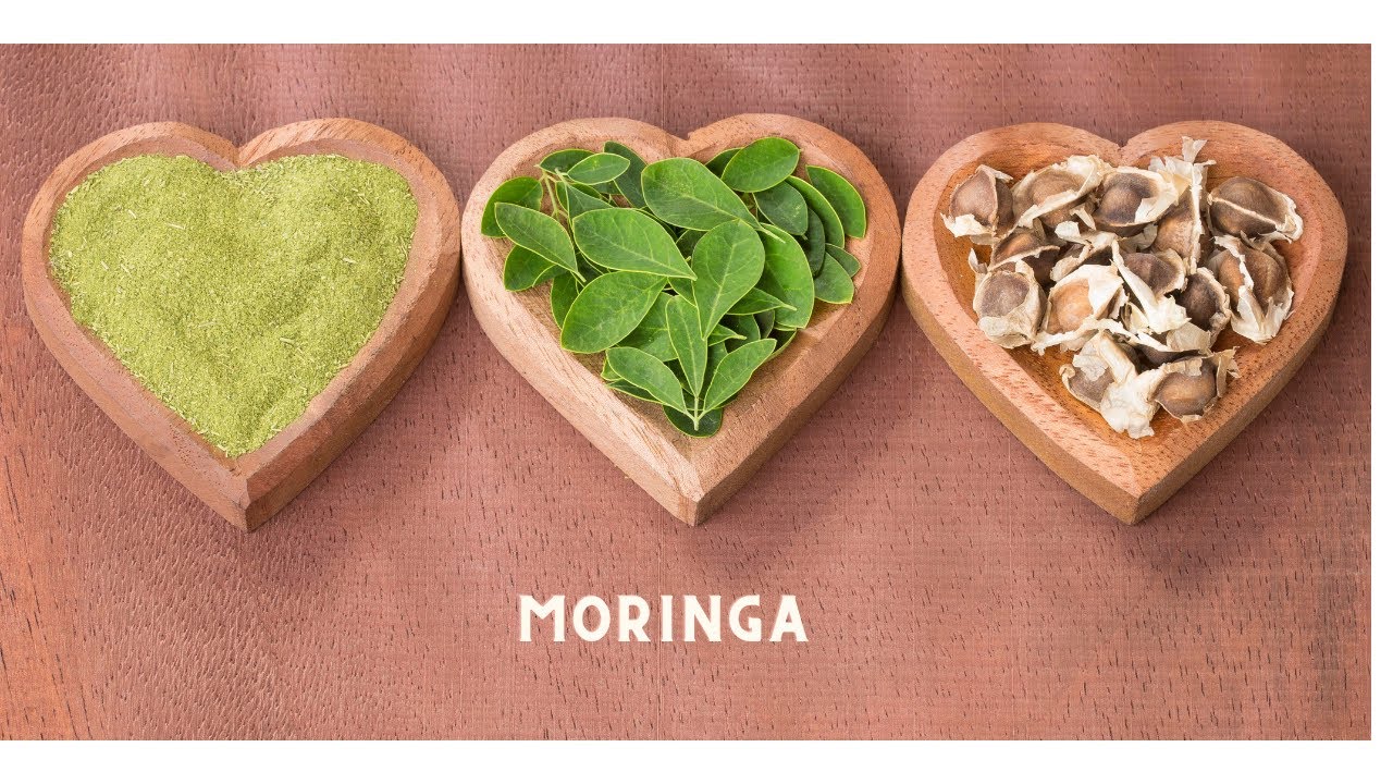 10 Magical Health Benefits of Moringa( Miracle Tree) - YouTube