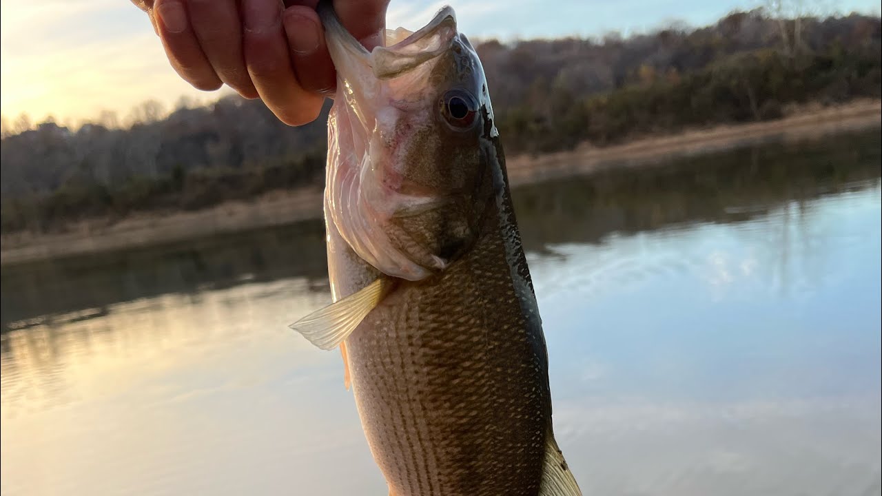 Beginners Guide to River Fishing - YouTube